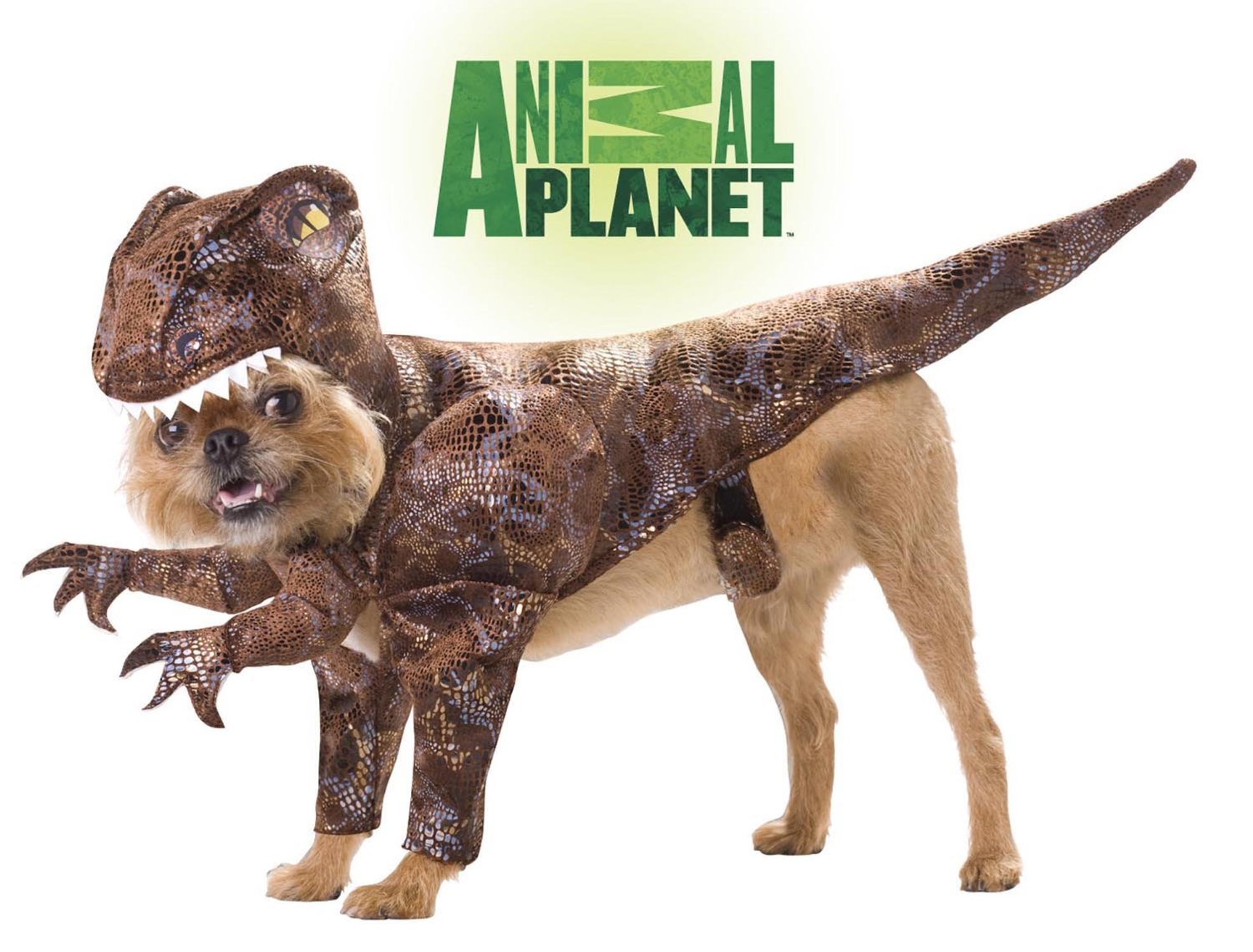 Raptor Dog Costume - CoolHousewarmingGifts.com